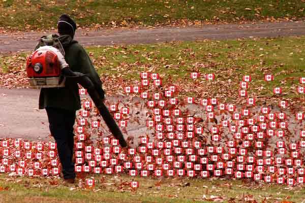 Death Metal Underground » Death Metal General- Day of the Rake Edition